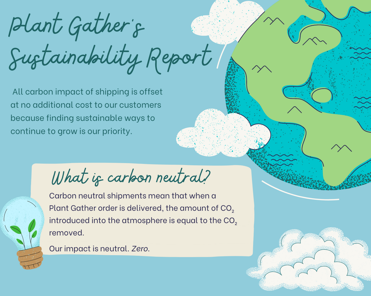 What to expect when you order plant mail – Plant Gather