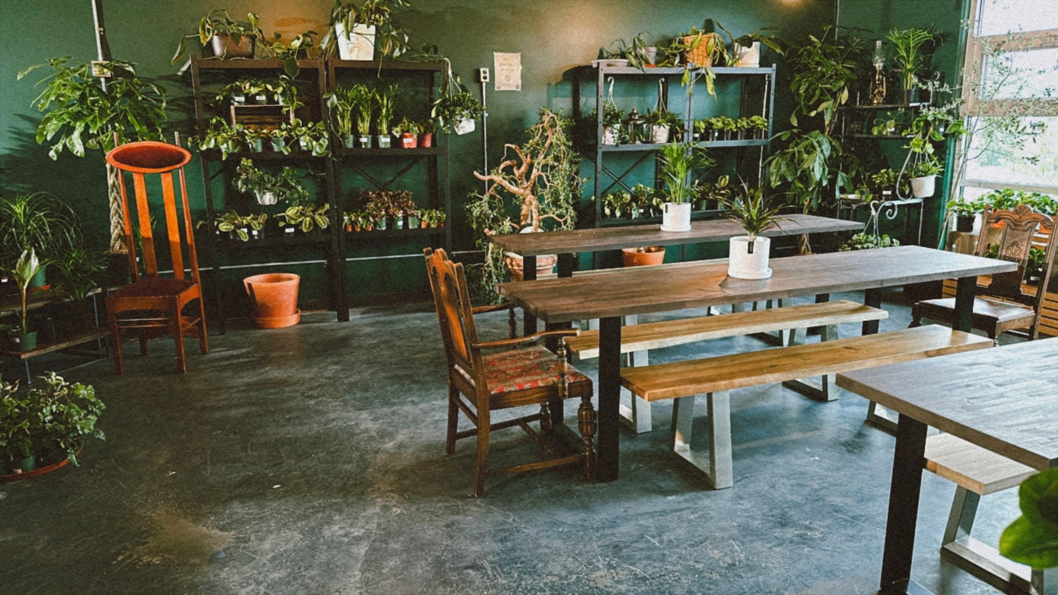 Plant Gather