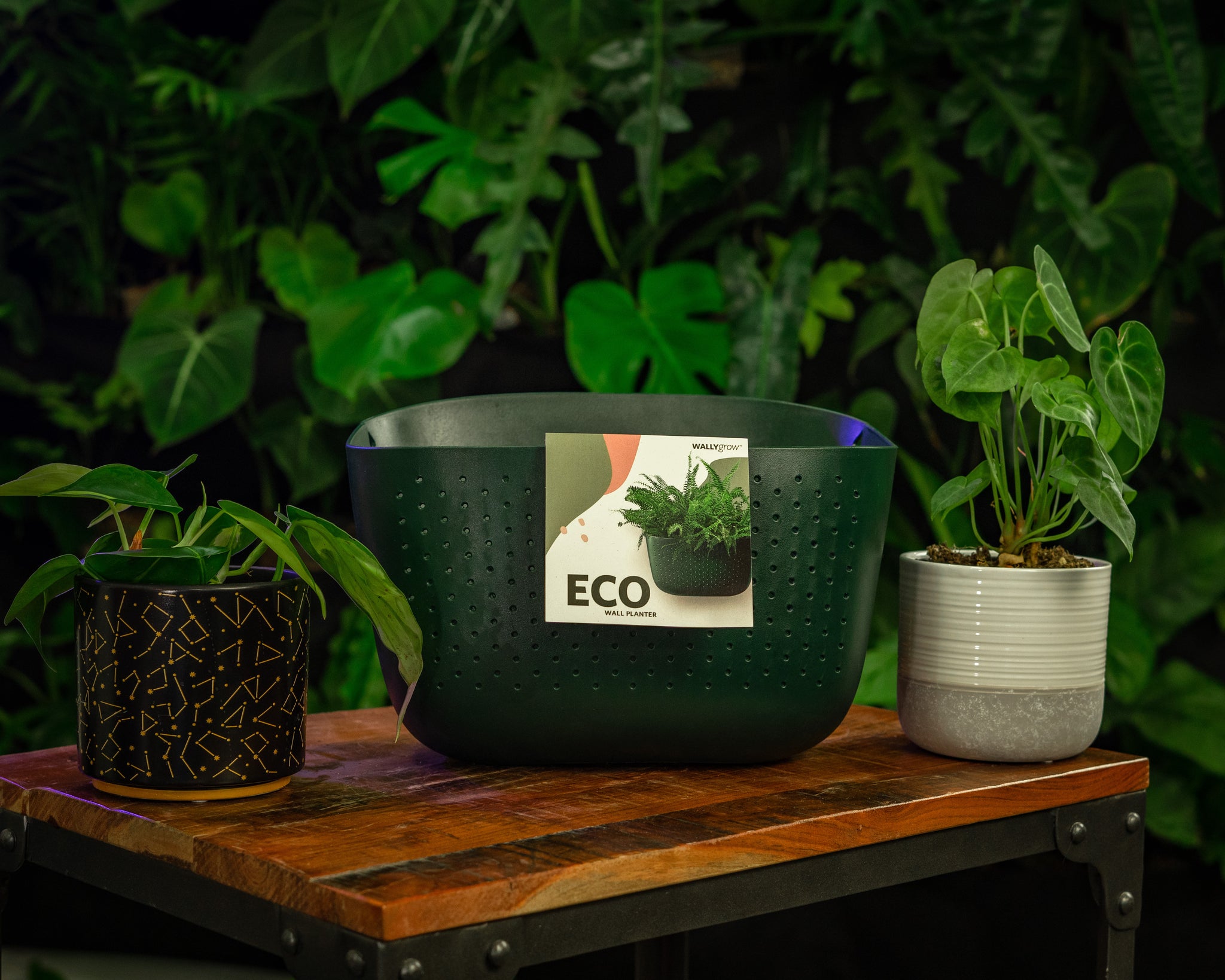 Living Wall Installation – Plant Gather