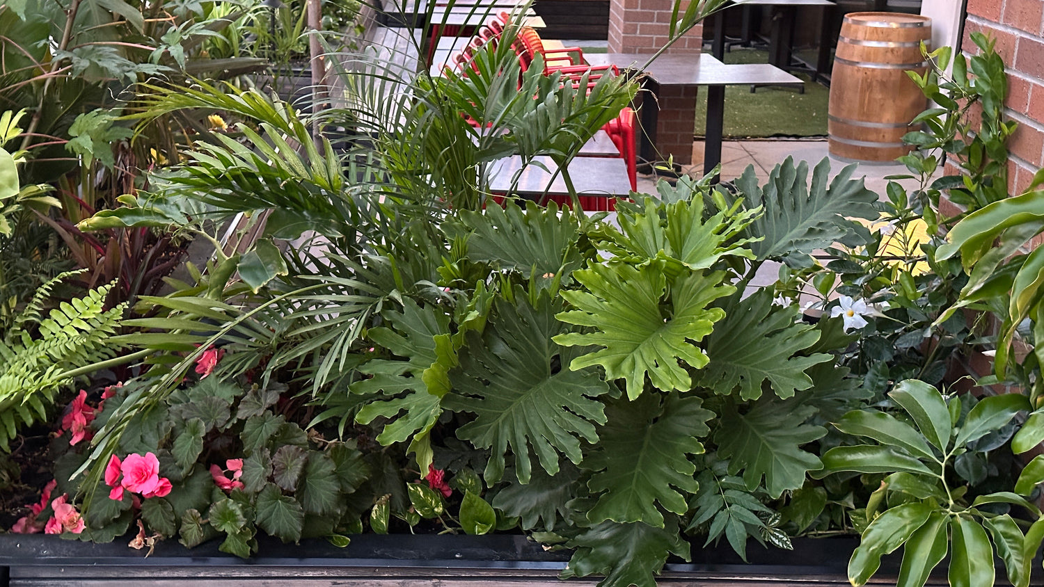 Plant Gather