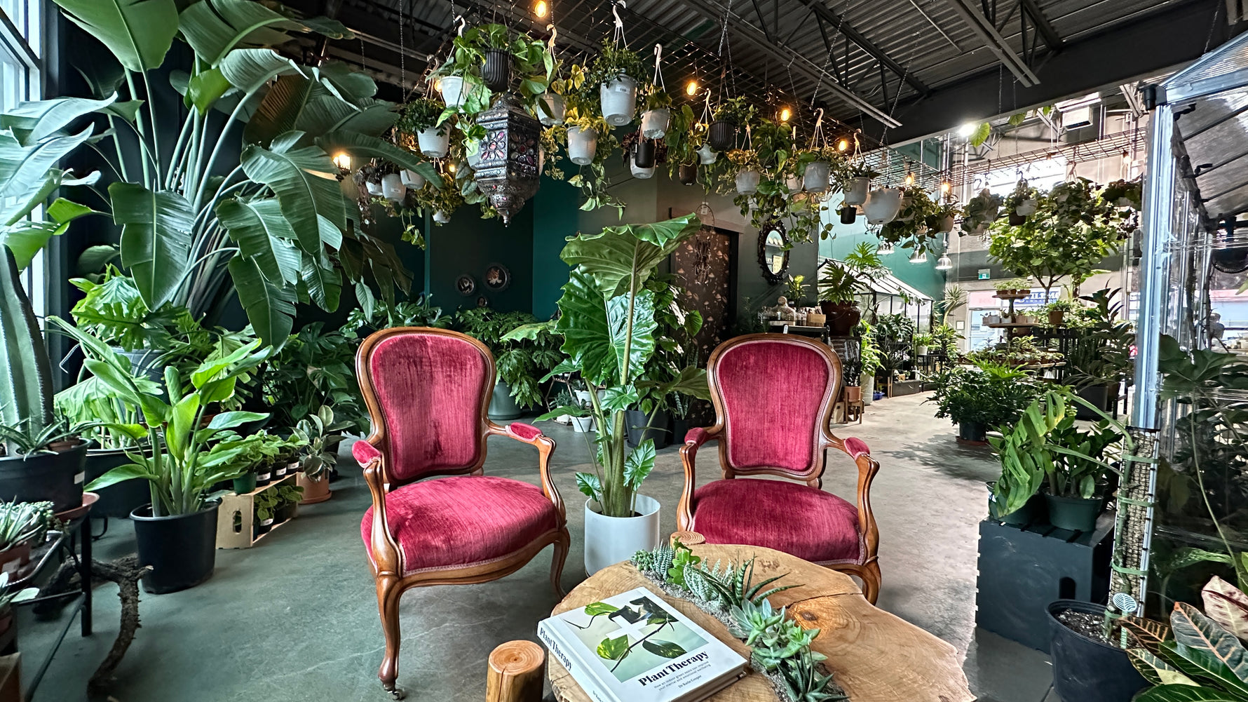 Plant Gather