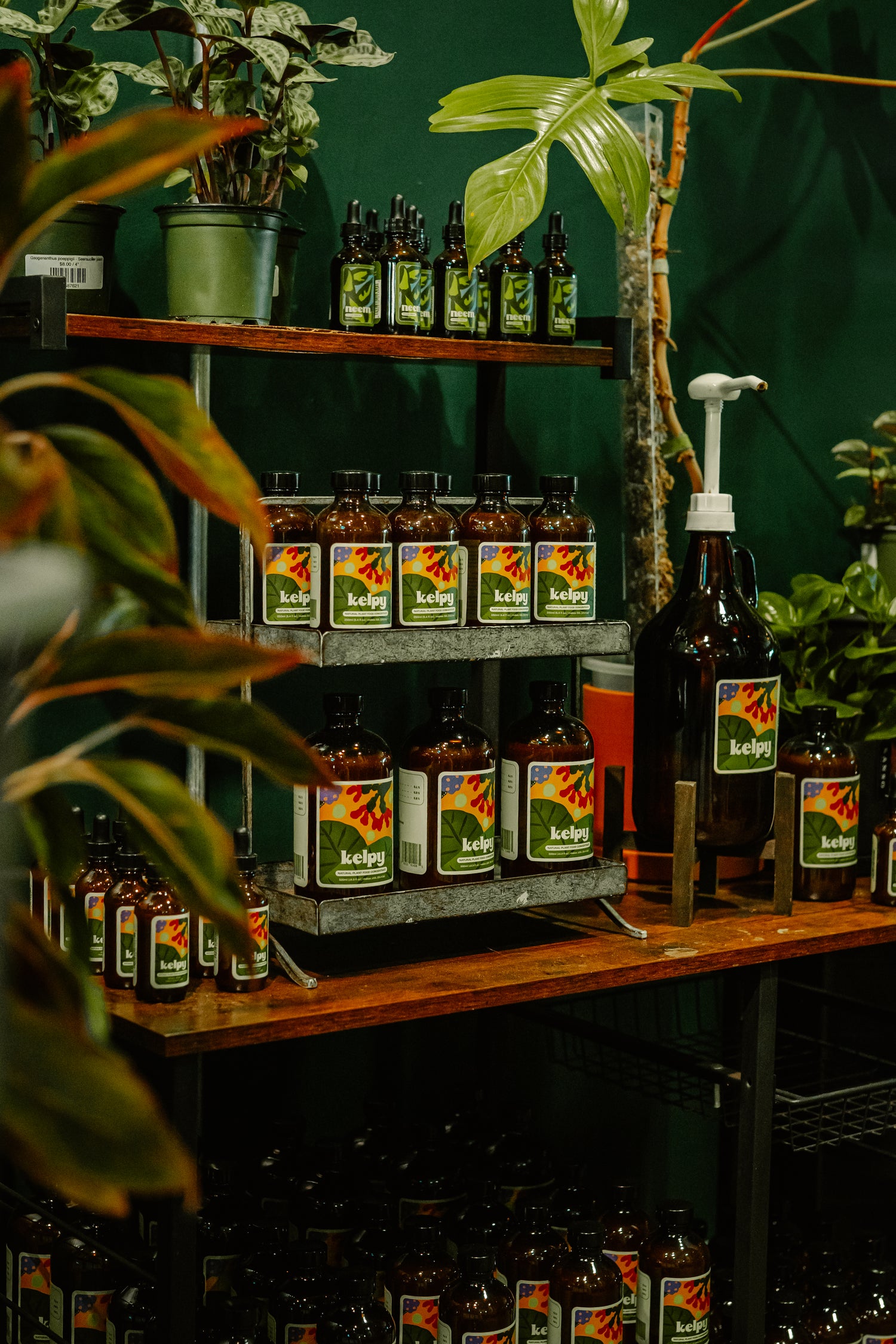 Plant Gather