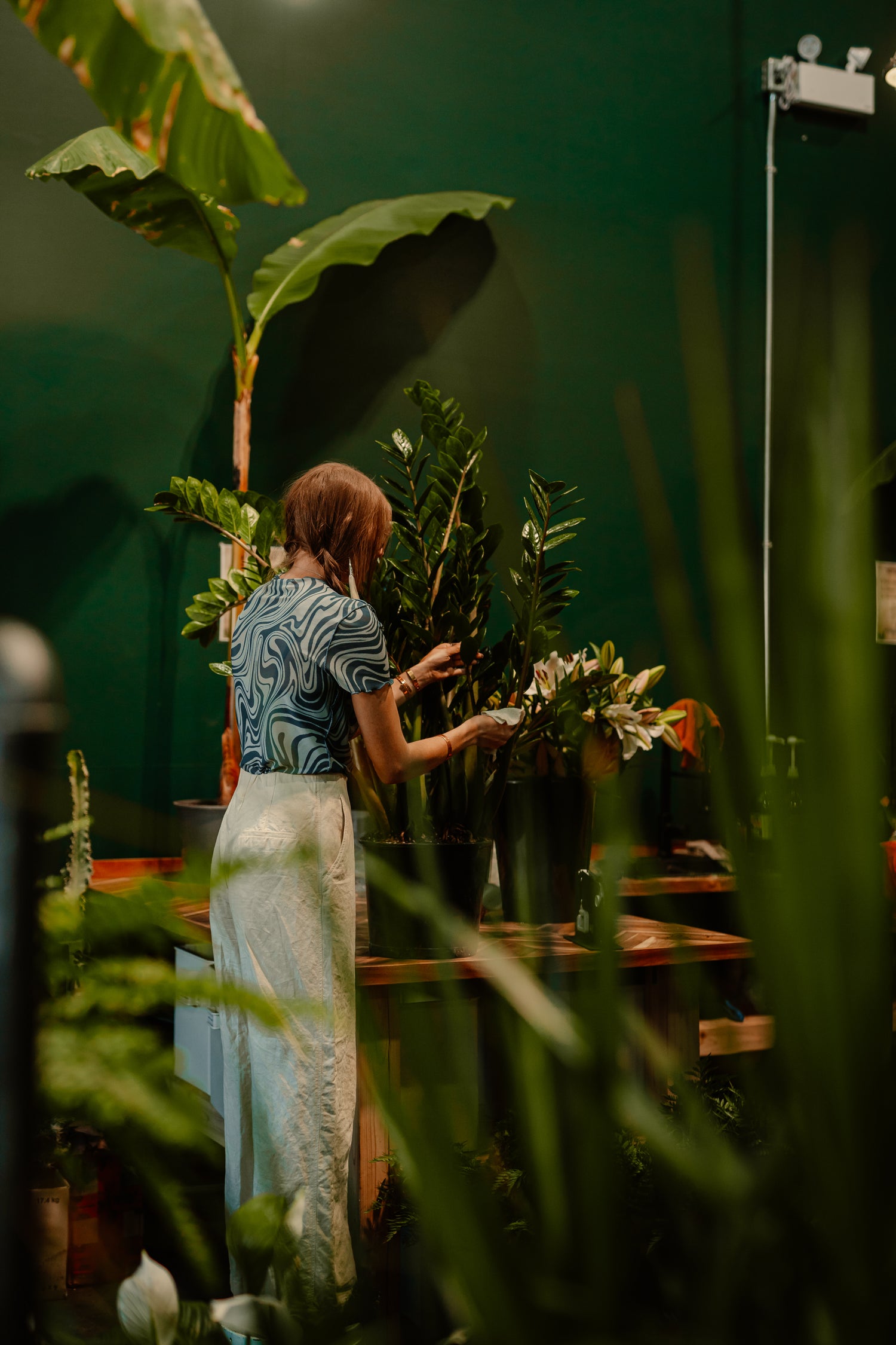 Plant Gather
