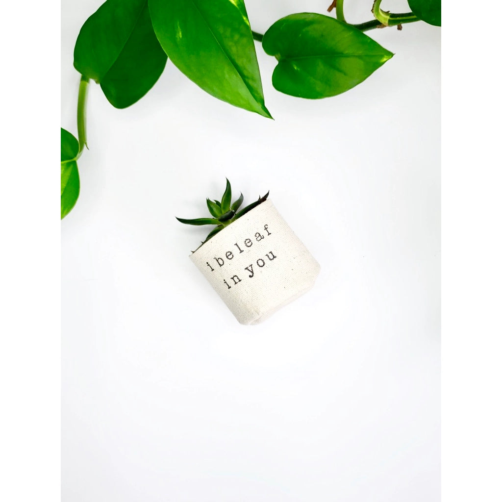 I beleaf in you Planter – Plant Gather