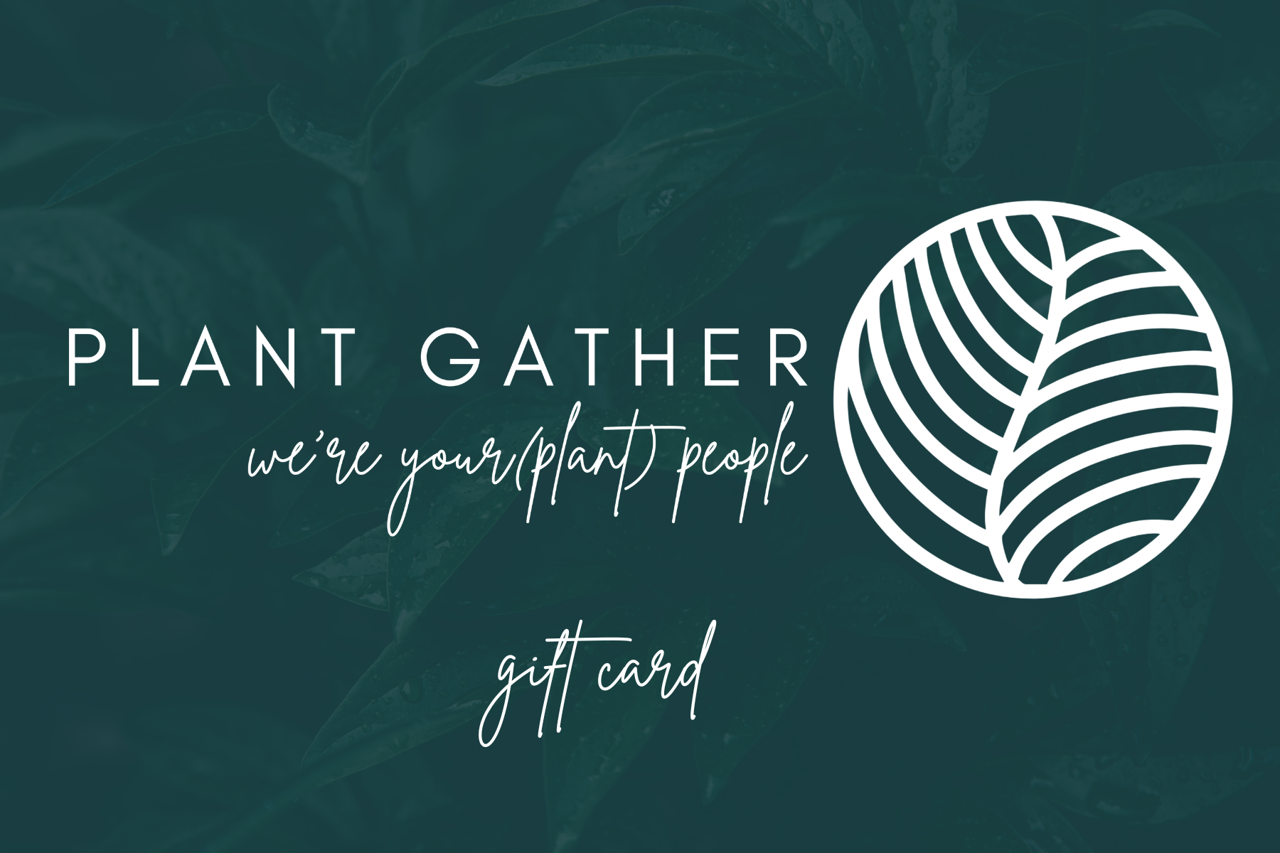 ALL PLANTS – Plant Gather