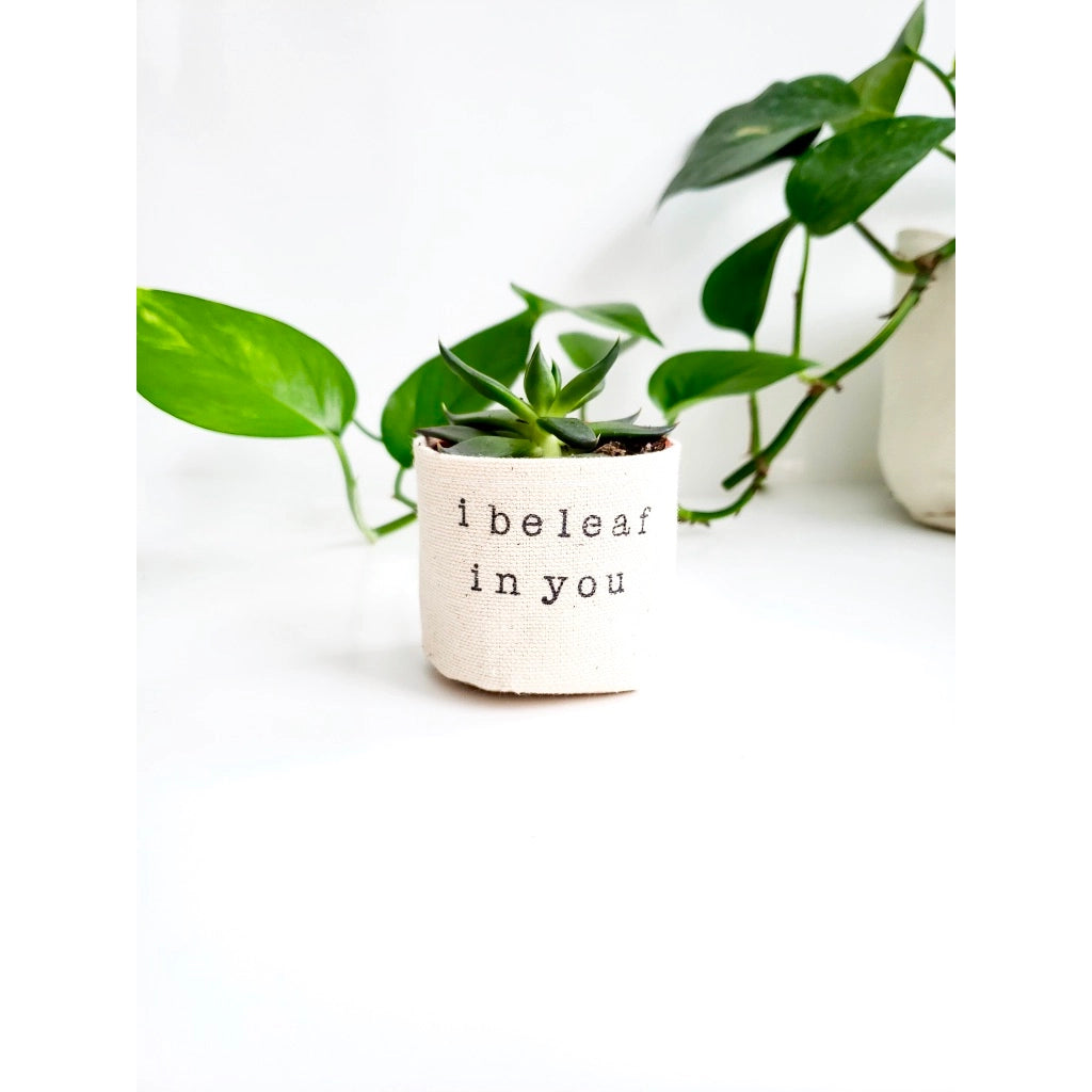 I beleaf in you Planter – Plant Gather