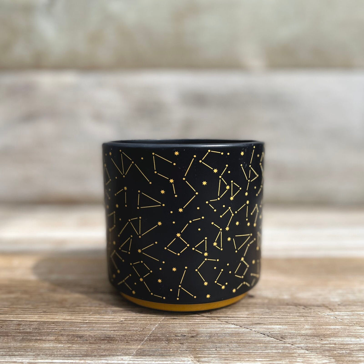 Constellation Pot – Plant Gather