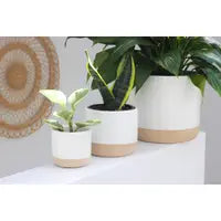 Ceramic Planter Pot White on Beige – Plant Gather
