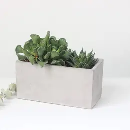 Concrete Cement Rectangle Planter/Succulent Box – Plant Gather